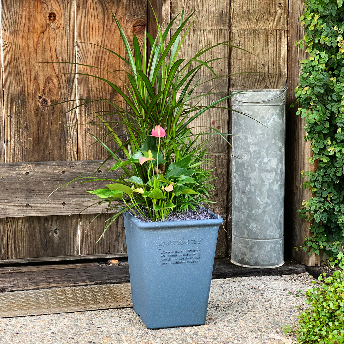 アーブル エコポット角型ロング190 5L - QVC.jp