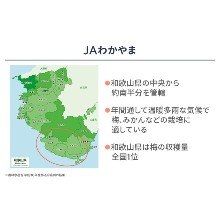 JAわかやま 厳選南高梅至福の玉手箱[12粒] JAグループ 全農食品 - QVC.jp